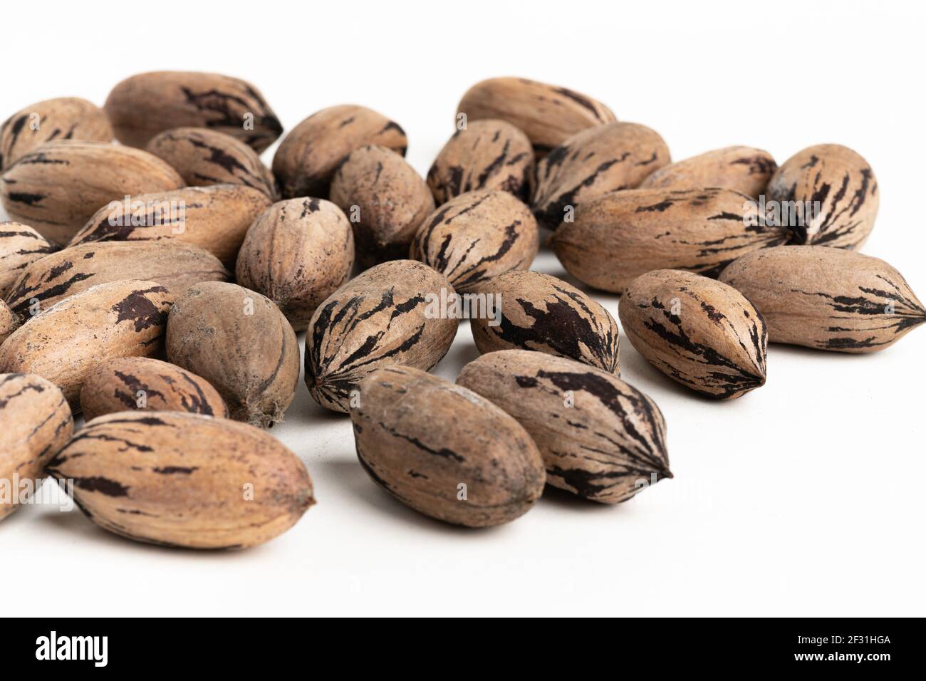 Pecan nuts in shell set on plain white background Stock Photo - Alamy