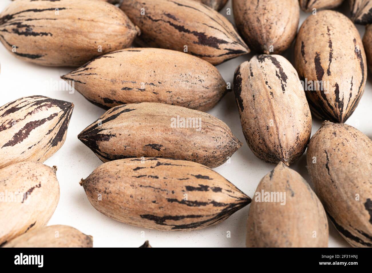 Pecan nuts in shell set on plain white background Stock Photo - Alamy