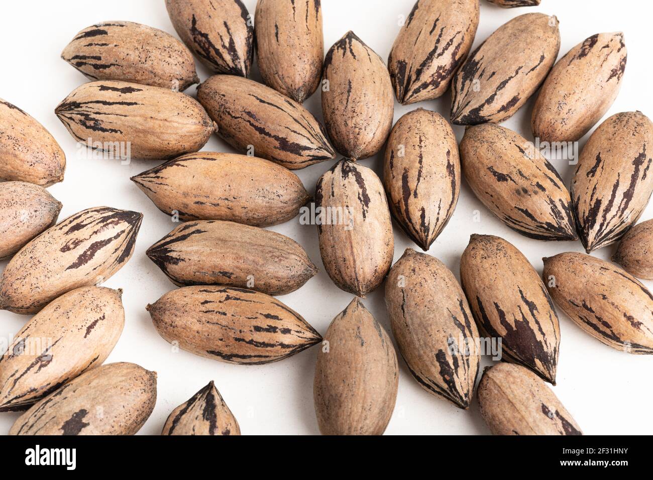 Pecan nuts in shell set on plain white background Stock Photo - Alamy