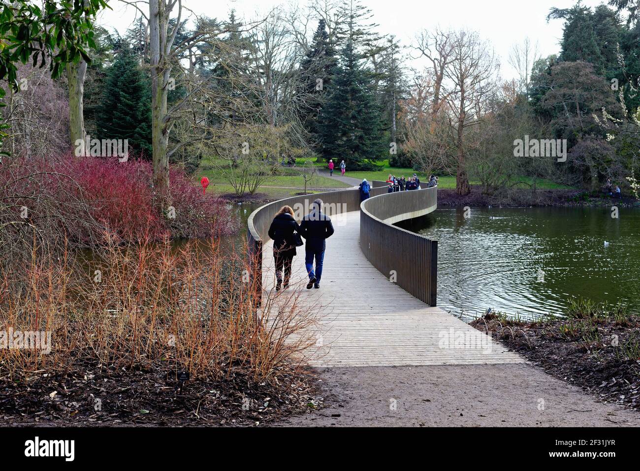 The Sackler Bridge crossing over The Lake at Kew Royal Botanic Gardens ...