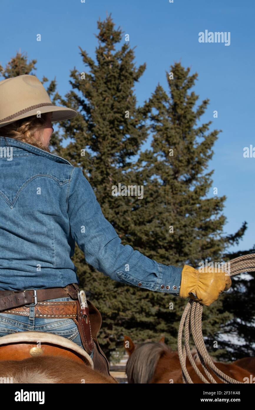 USA, Colorado, Custer County, Westcliffe, Music Meadows Ranch. Female ...