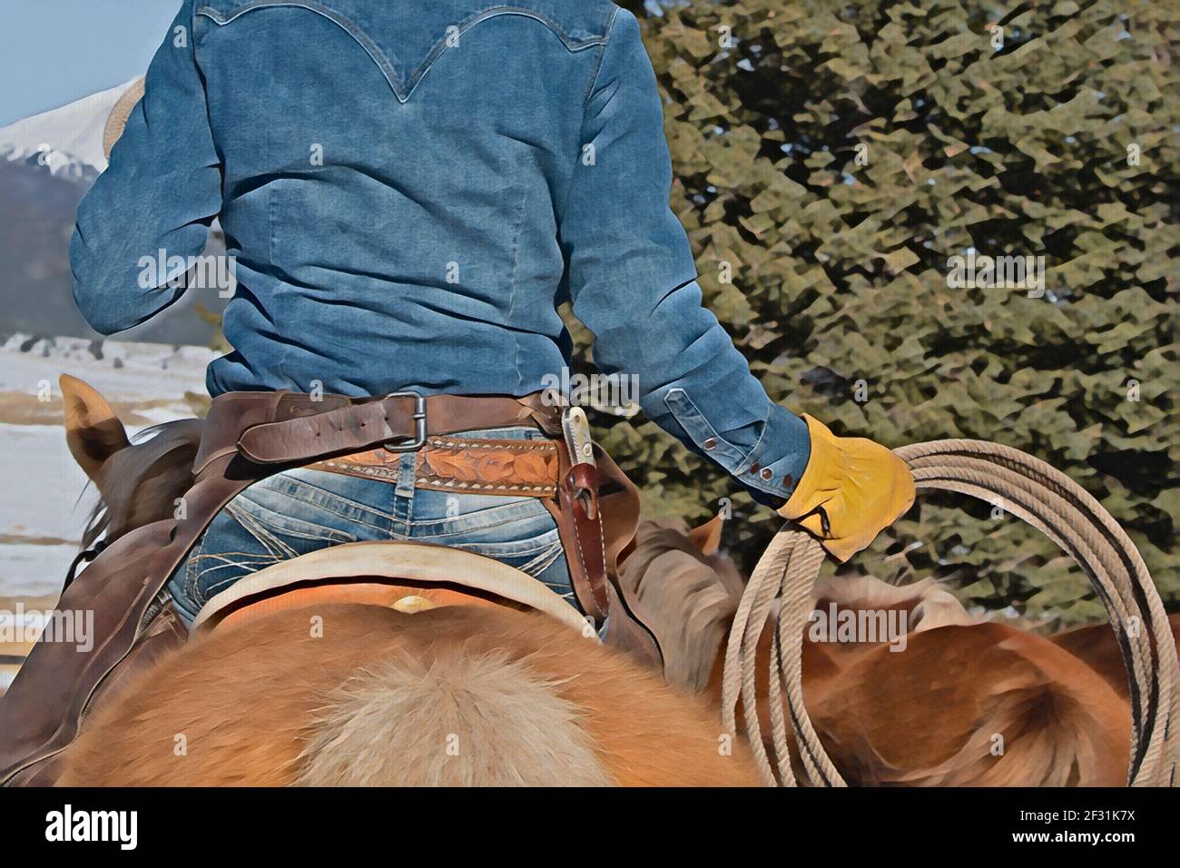 USA, Colorado, Custer County, Westcliffe, Music Meadows Ranch. Female ...
