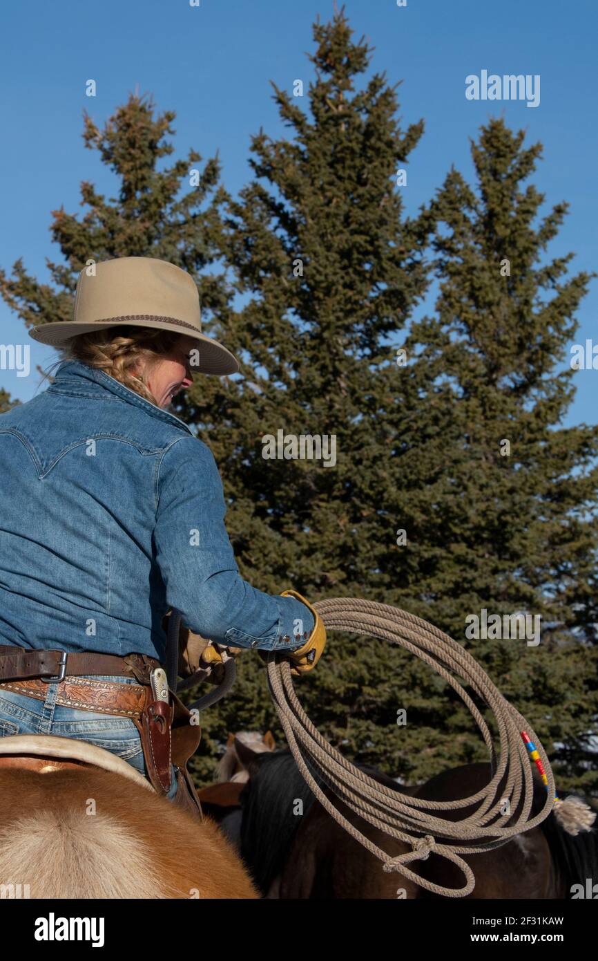 USA, Colorado, Custer County, Westcliffe, Music Meadows Ranch. Female ...