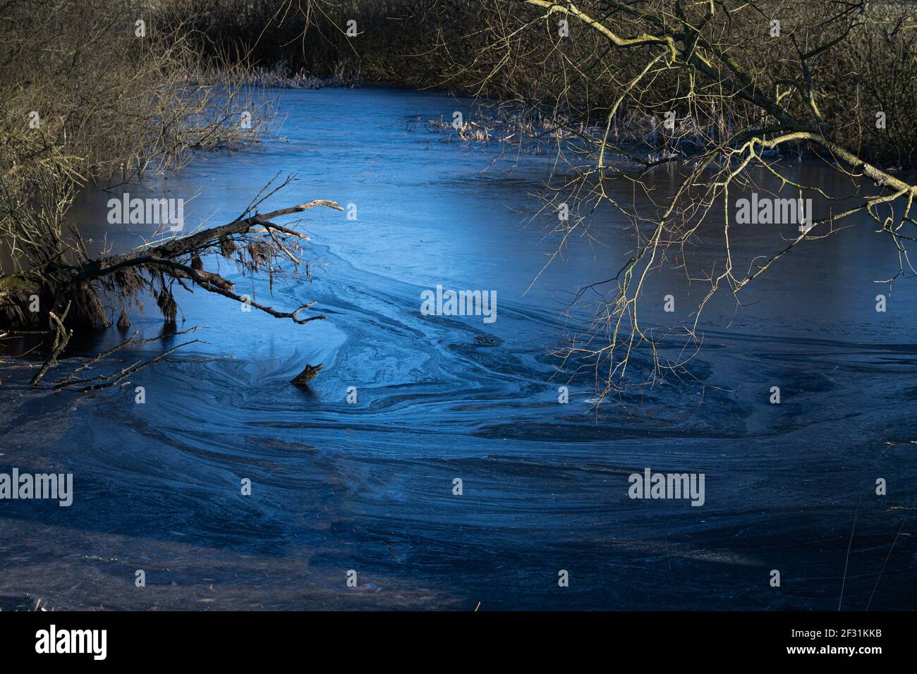 A beautiful picture of a small pond covered with ice. Blue icy water ...