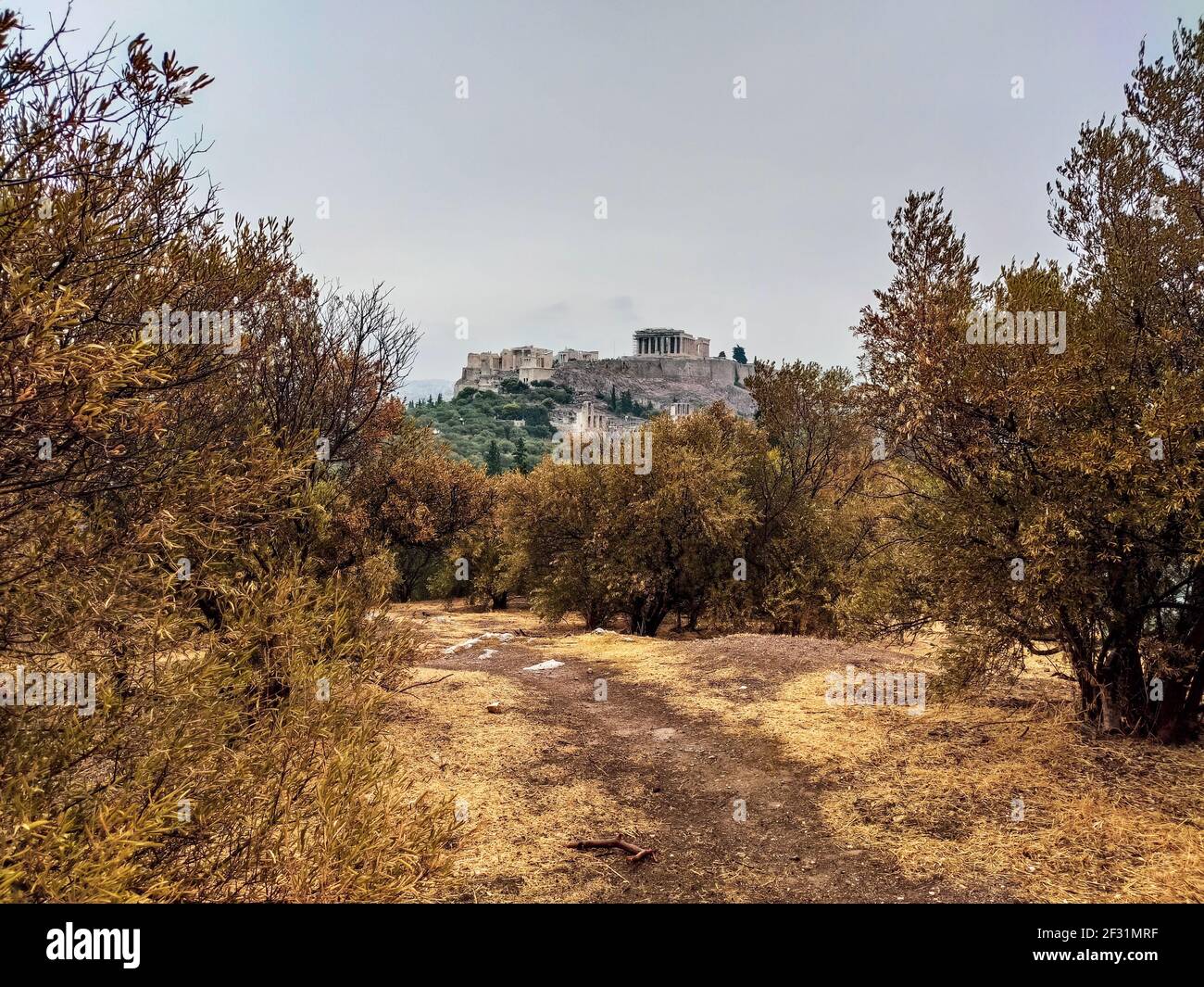 Life in ancient greece hi-res stock photography and images - Alamy