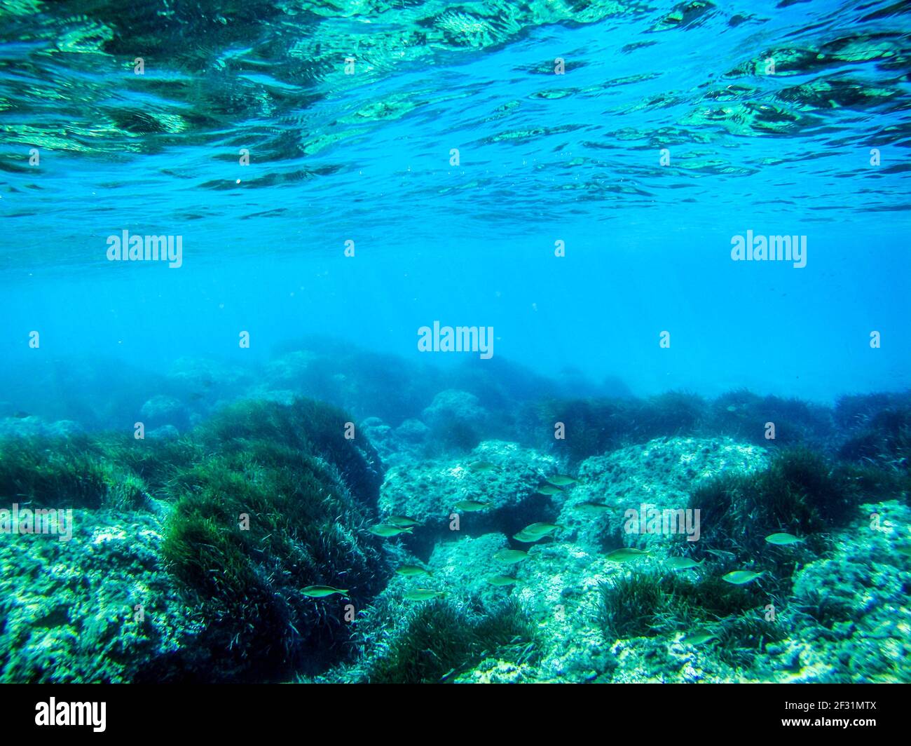 Scuba diving greece hi-res stock photography and images - Alamy