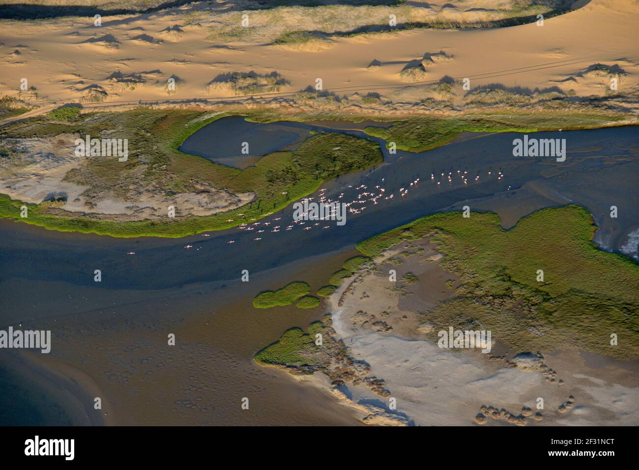 geography / travel, Namibia, aerial photograph of a Flamingo swarm ...