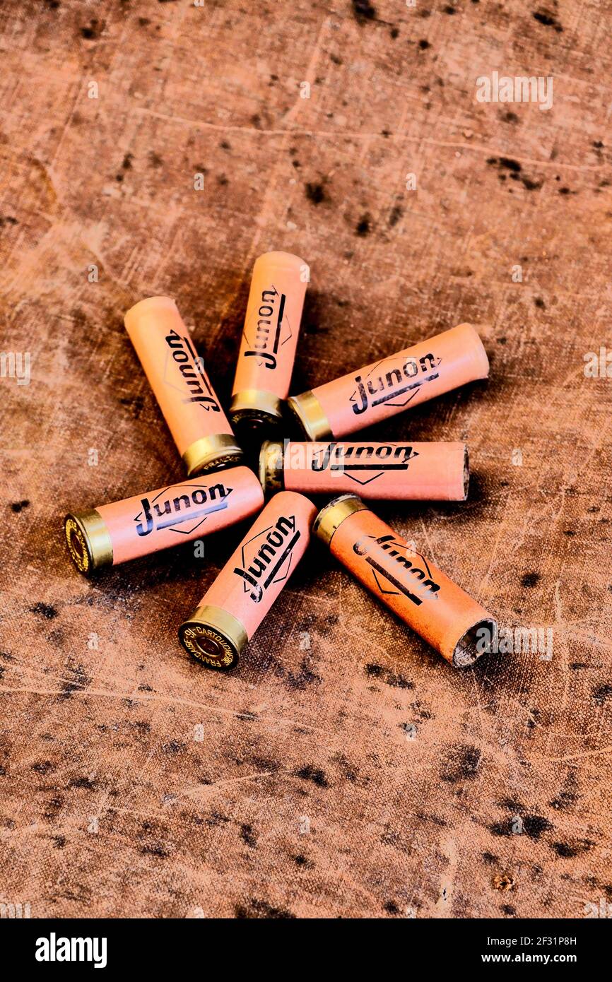 Hunting gun cartridges, digitally filtered view, France Stock Photo - Alamy