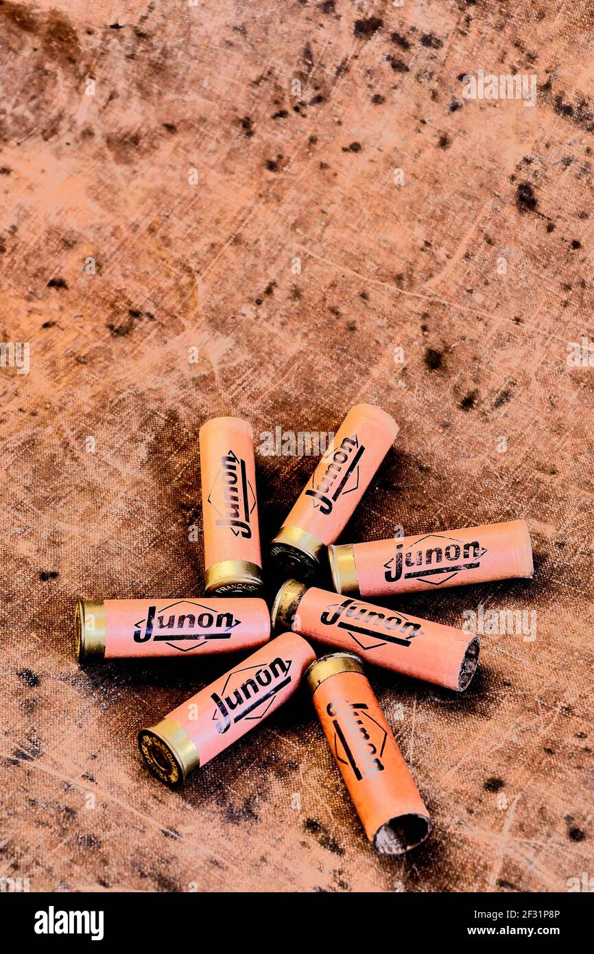 Hunting gun cartridges, digitally filtered view, France Stock Photo - Alamy