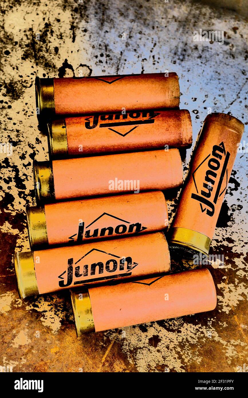 Hunting gun cartridges, digitally filtered view, France Stock Photo - Alamy
