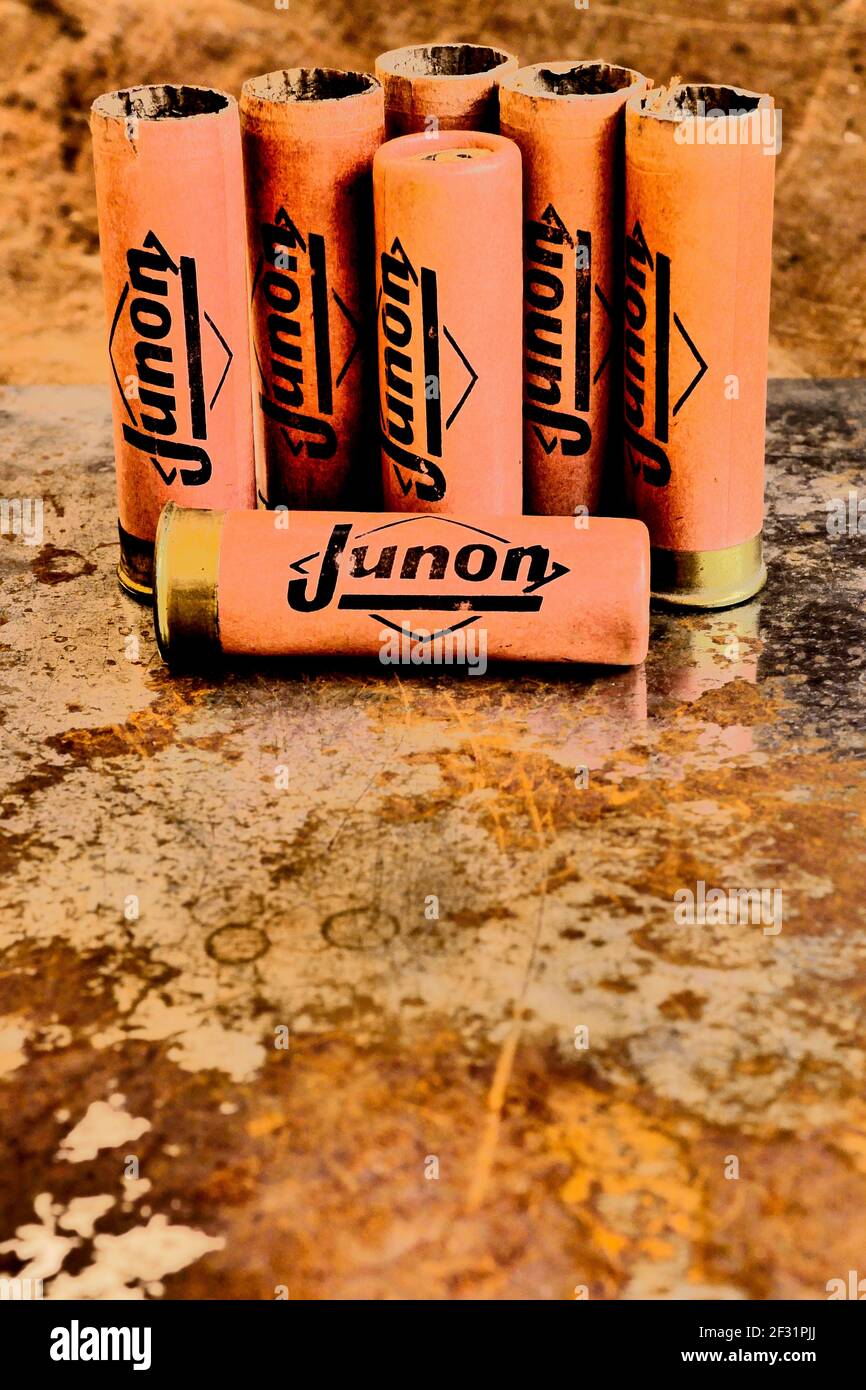 Hunting gun cartridges, digitally filtered view, France Stock Photo - Alamy