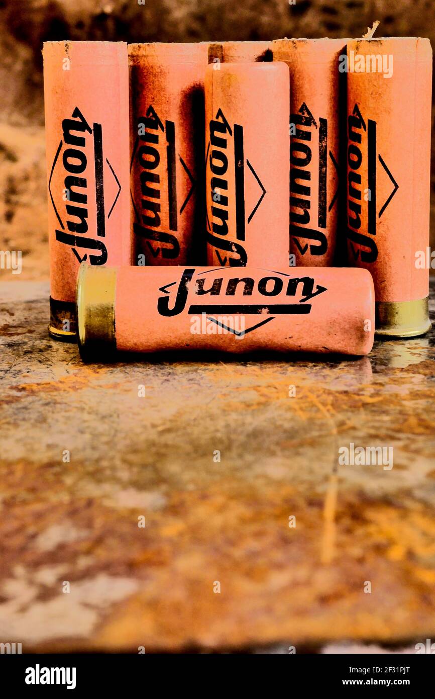 Hunting gun cartridges, digitally filtered view, France Stock Photo - Alamy