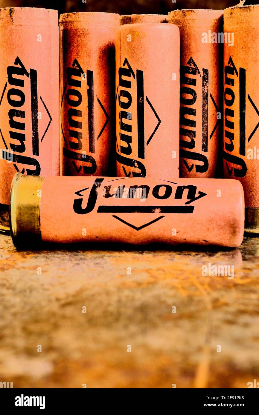 Hunting gun cartridges, digitally filtered view, France Stock Photo - Alamy