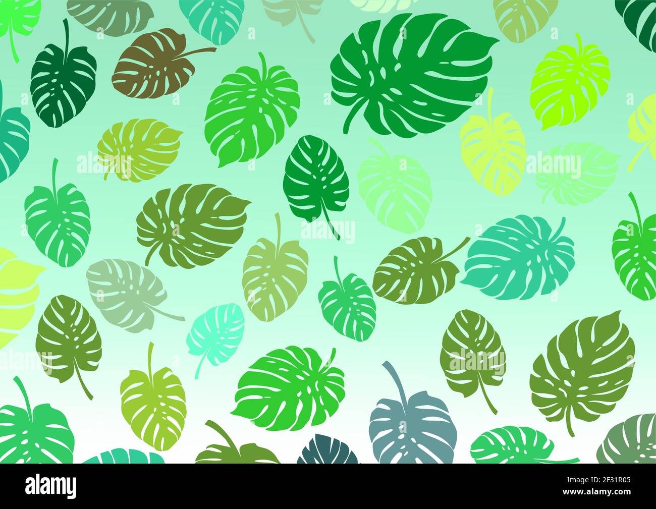 A leaf of a plant called monstera as a background to design your own ...