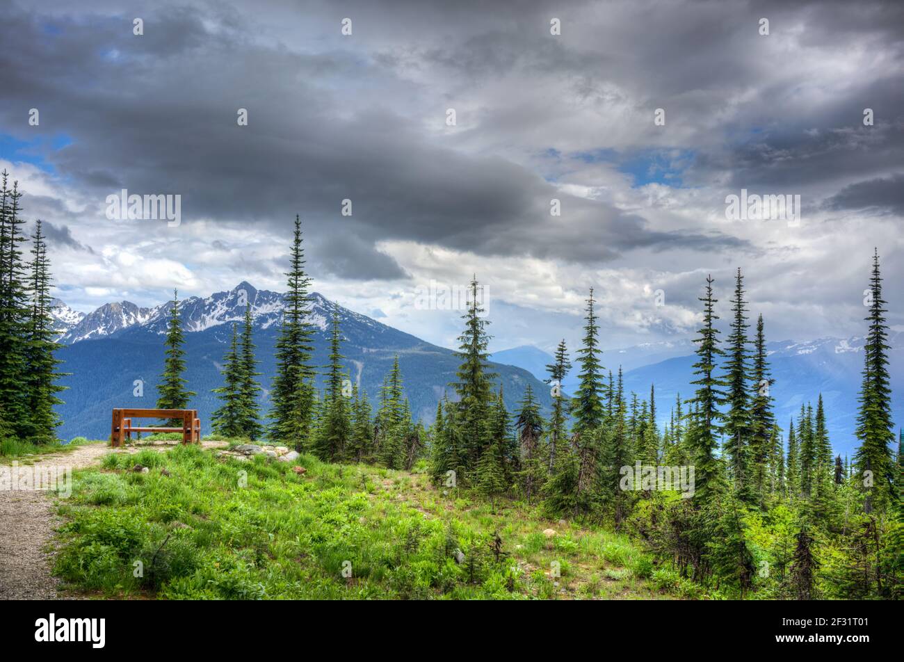 Mount Revelstoke National Park, BC, Canada Stock Photo - Alamy