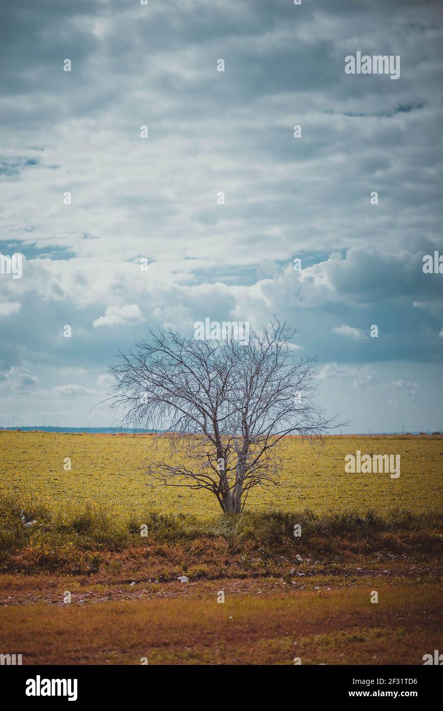 Poseoftheday hi-res stock photography and images - Alamy