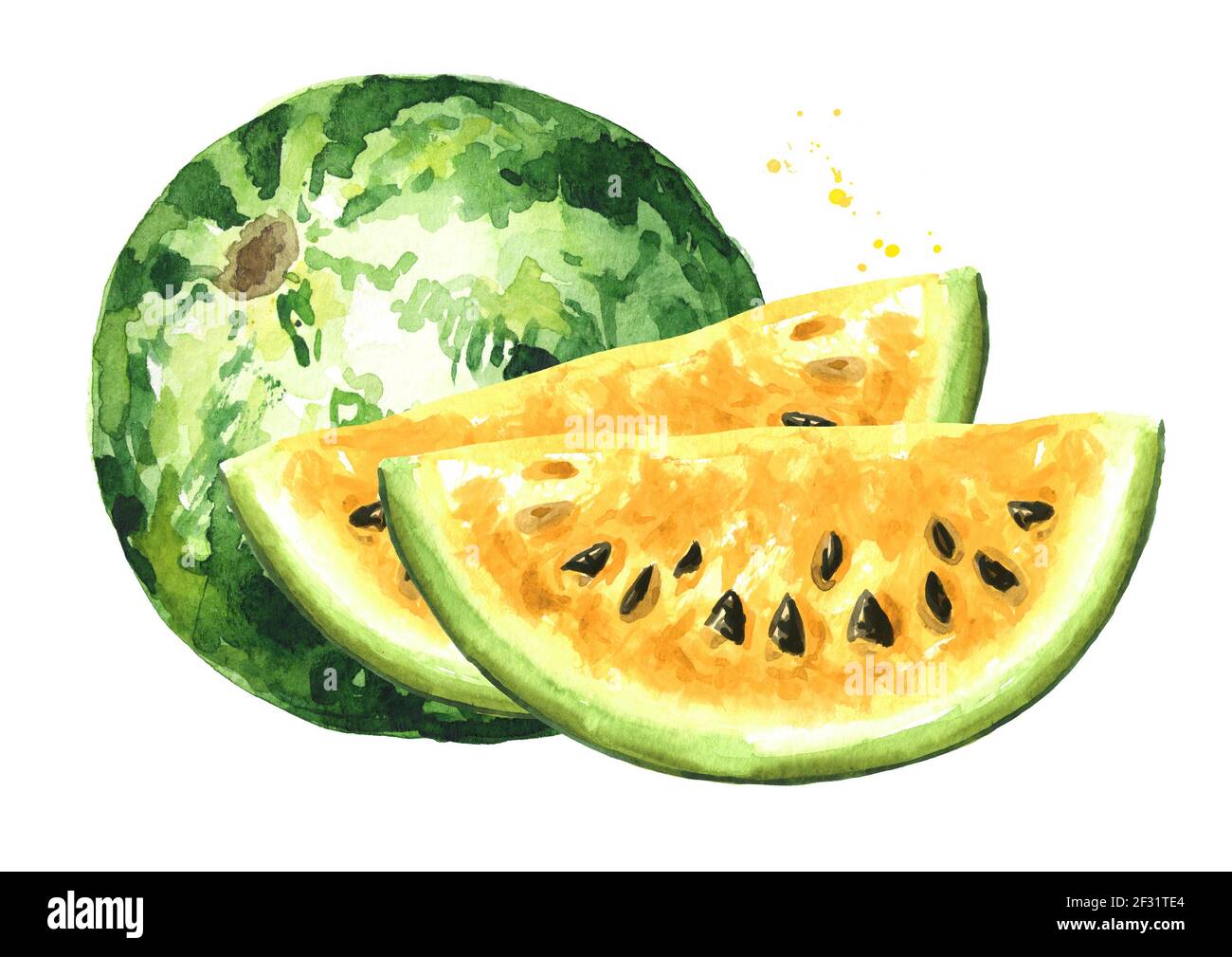 Whole and sliced ripe yellow watermelon or Kalahari Melon. Watercolor ...