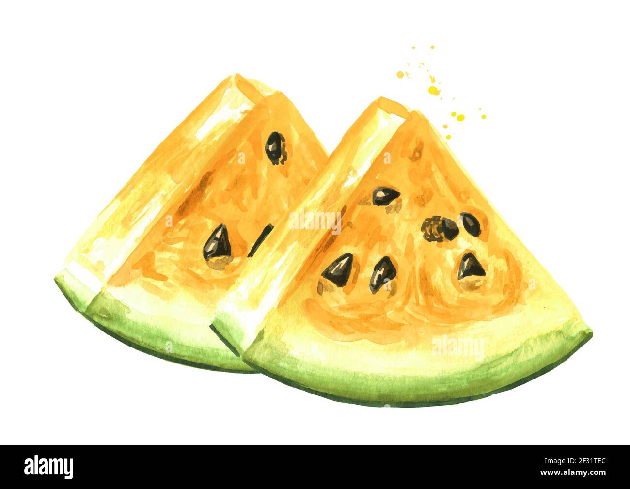 Two pieces of ripe yellow watermelon or Kalahari Melon. Watercolor hand ...