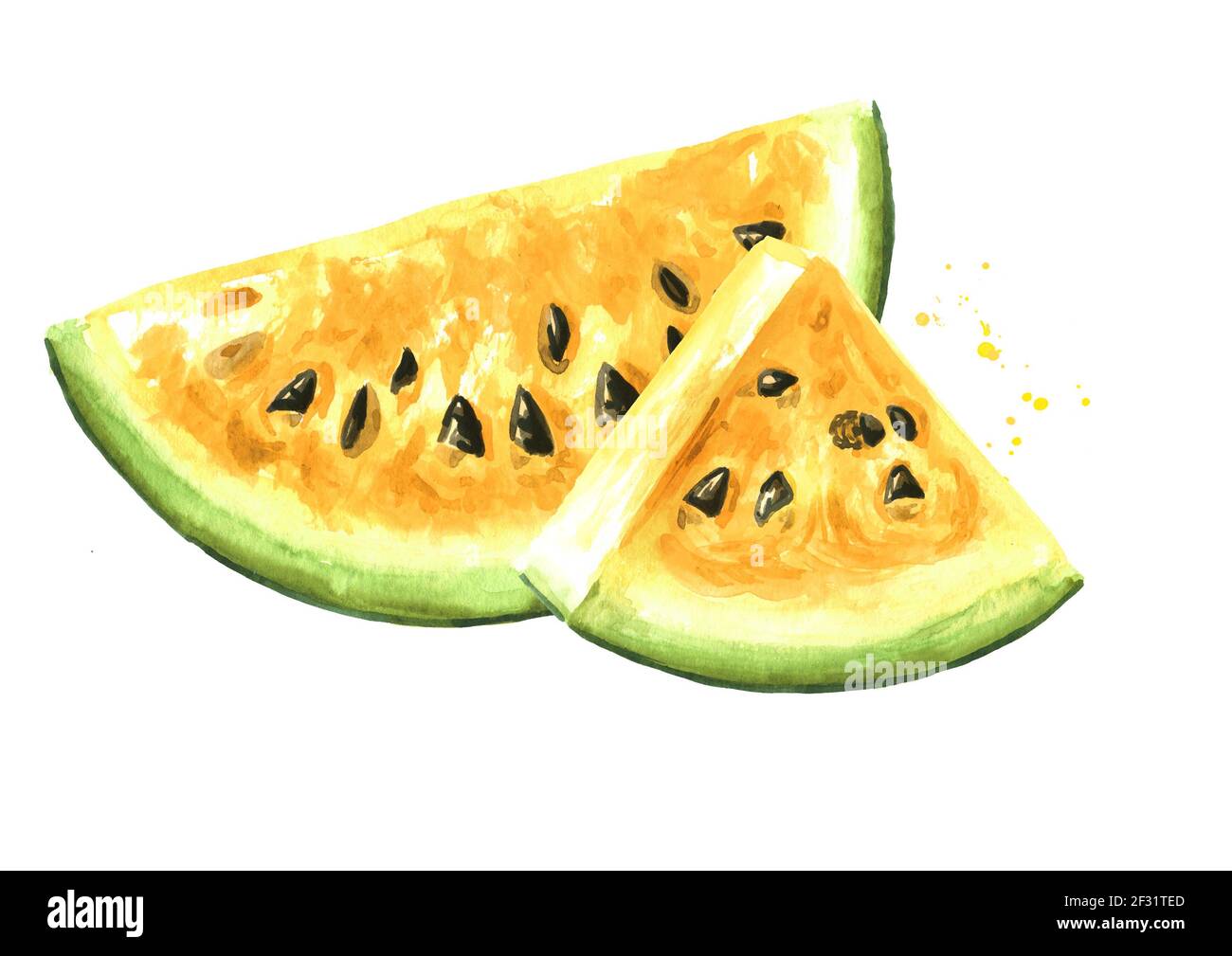 Some pieces of ripe yellow watermelon or Kalahari Melon. Watercolor ...