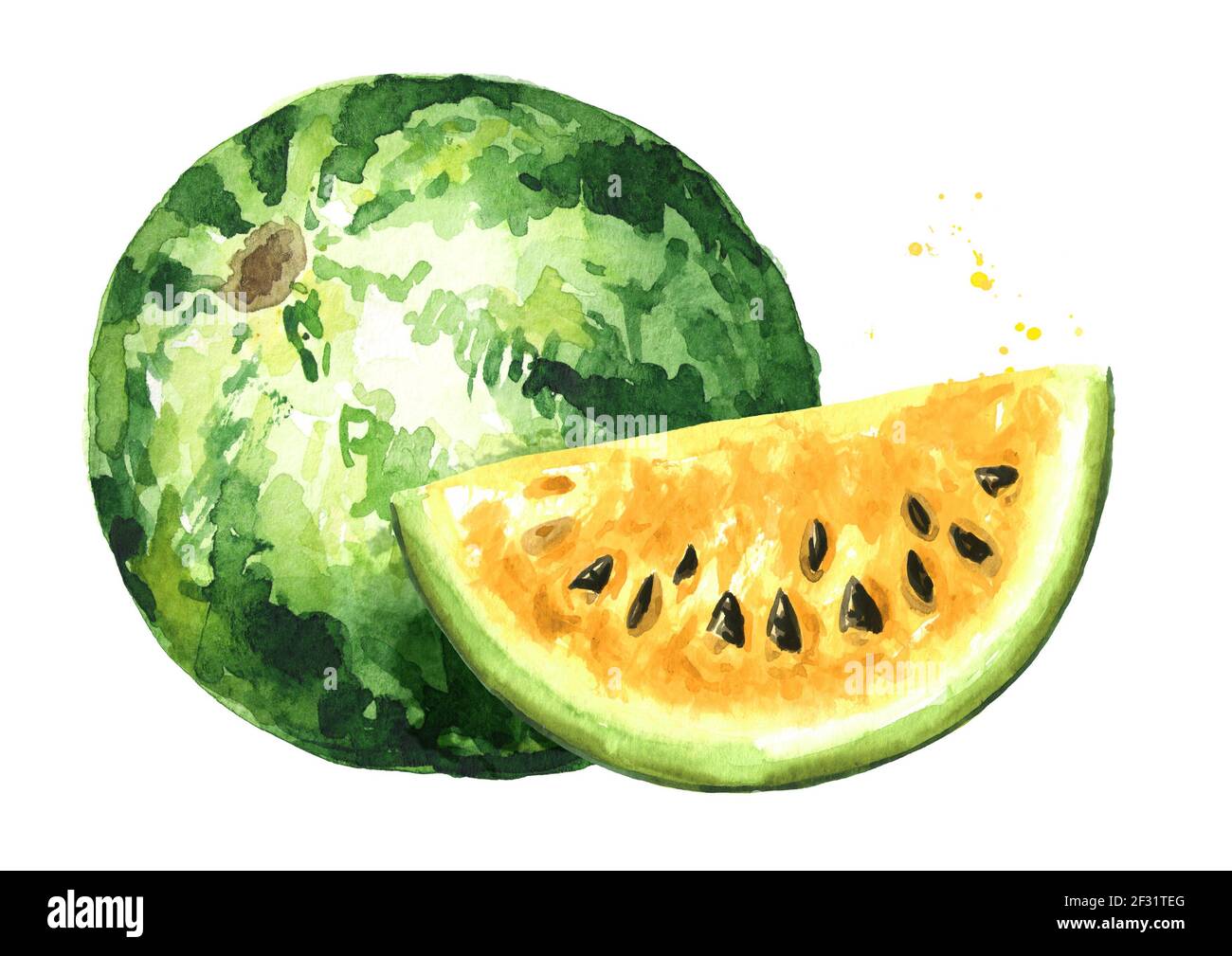 Whole and slice ripe yellow watermelon or Kalahari Melon. Watercolor ...