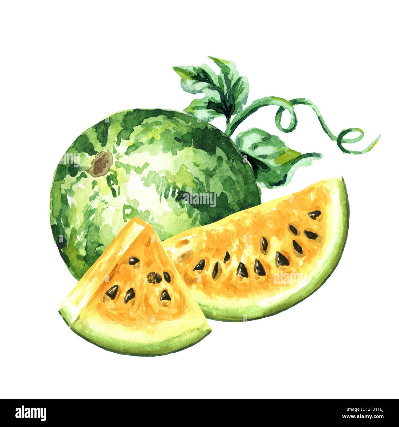 Whole and sliced ripe yellow watermelon with green leaves or Kalahari ...