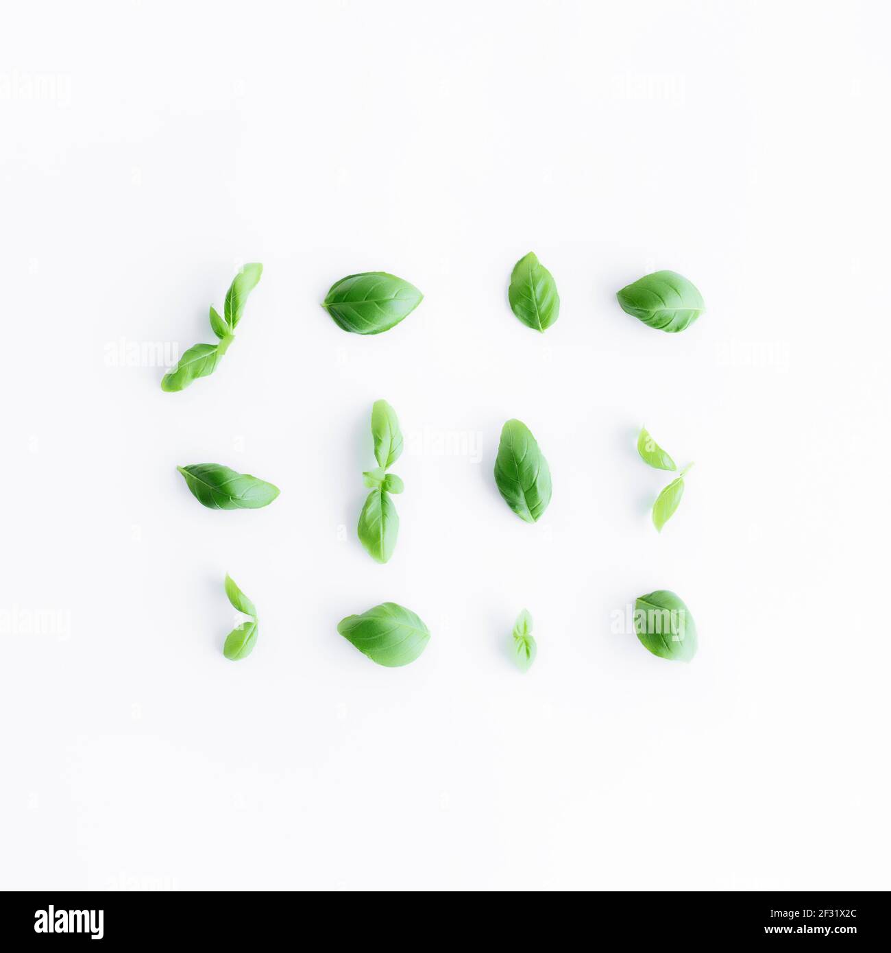 Mint botanical wallpaper Cut Out Stock Images & Pictures - Alamy