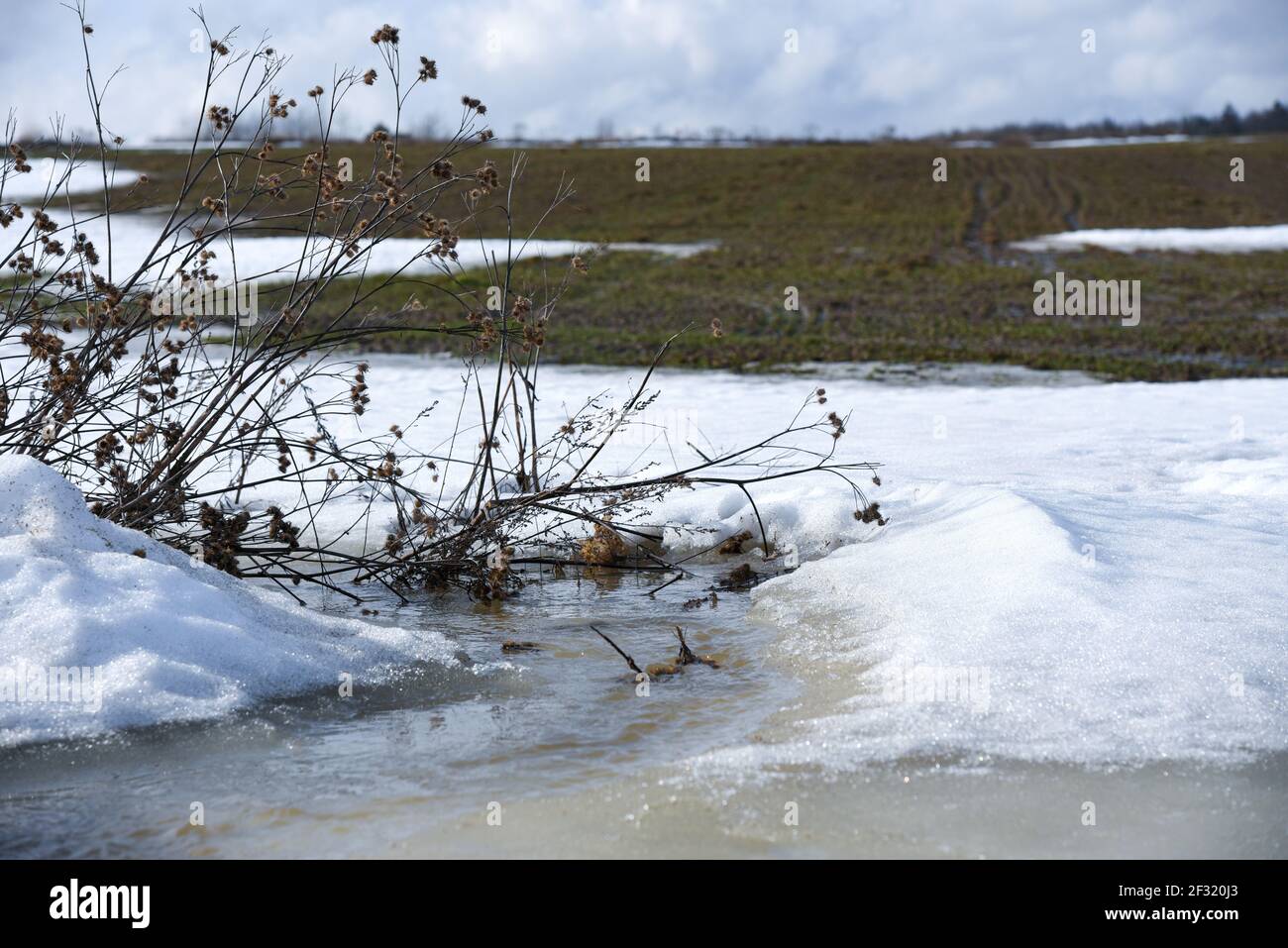 Spring stream after snow melt on the field Stock Photo - Alamy