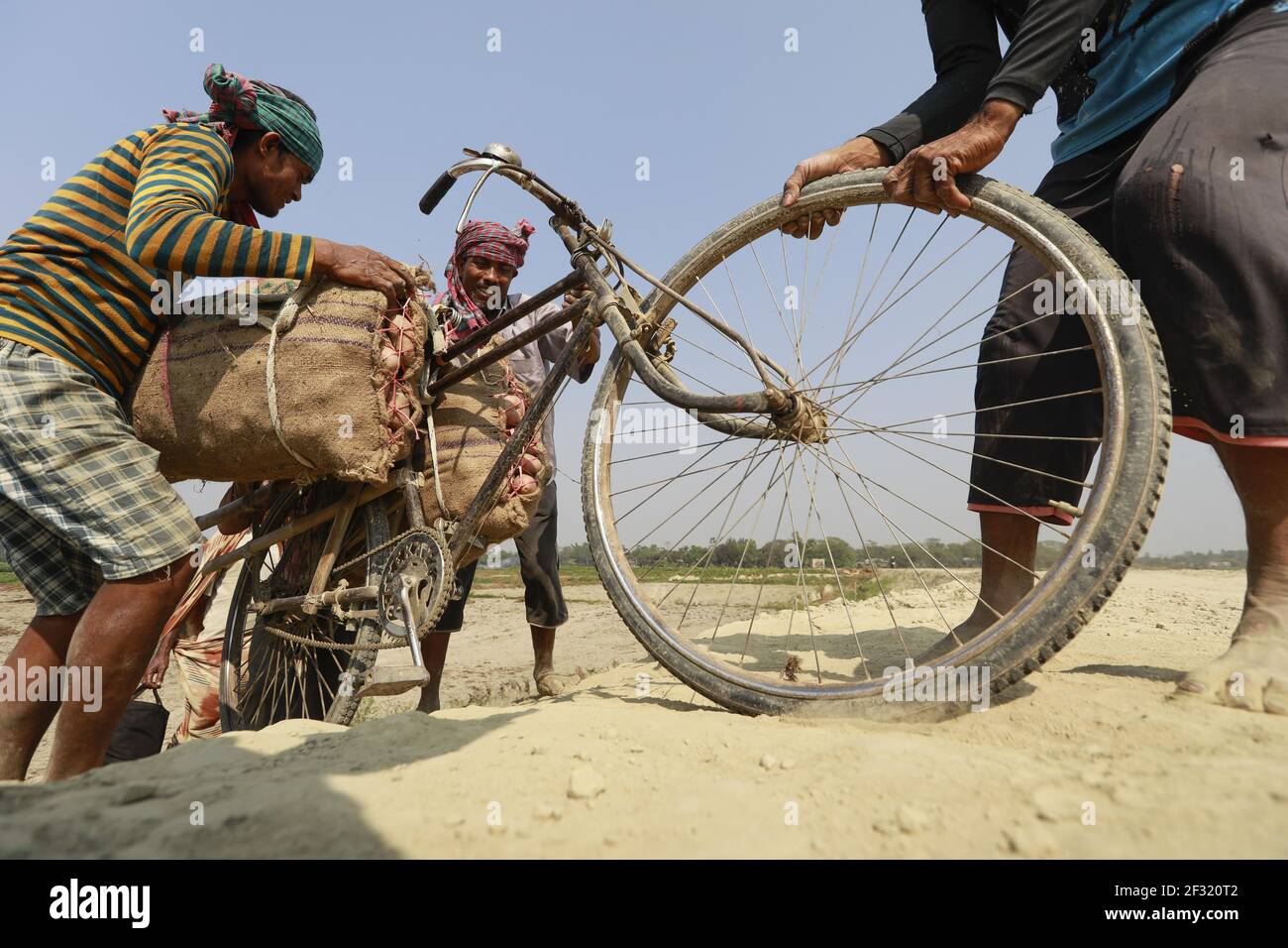 Potato price in bangladesh hi-res stock photography and images - Alamy