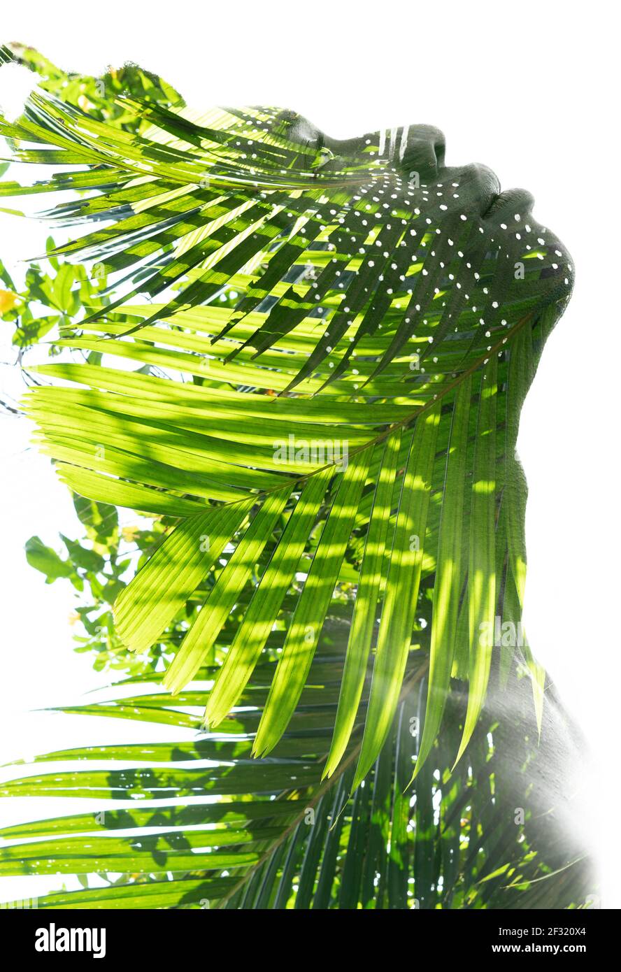 A double exposure combination with palm tree leaves Stock Photo - Alamy