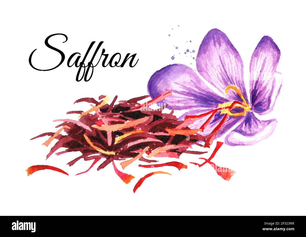 Heap of dried saffron spice with a flower. Watercolor hand drawn ...