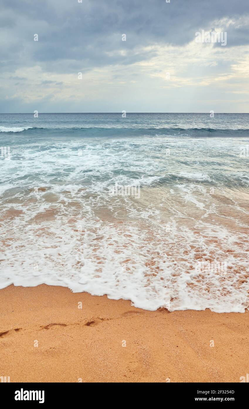 Picture of an empty tropical beach at sunset, nature background Stock ...