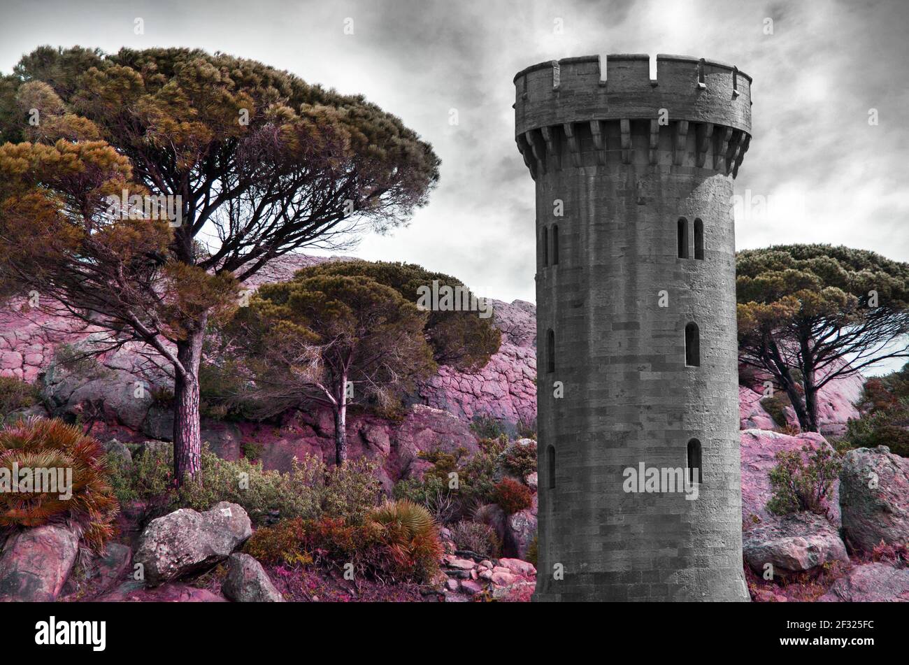 Shown here is a fantasy image of an alien watchtower on a strange ...