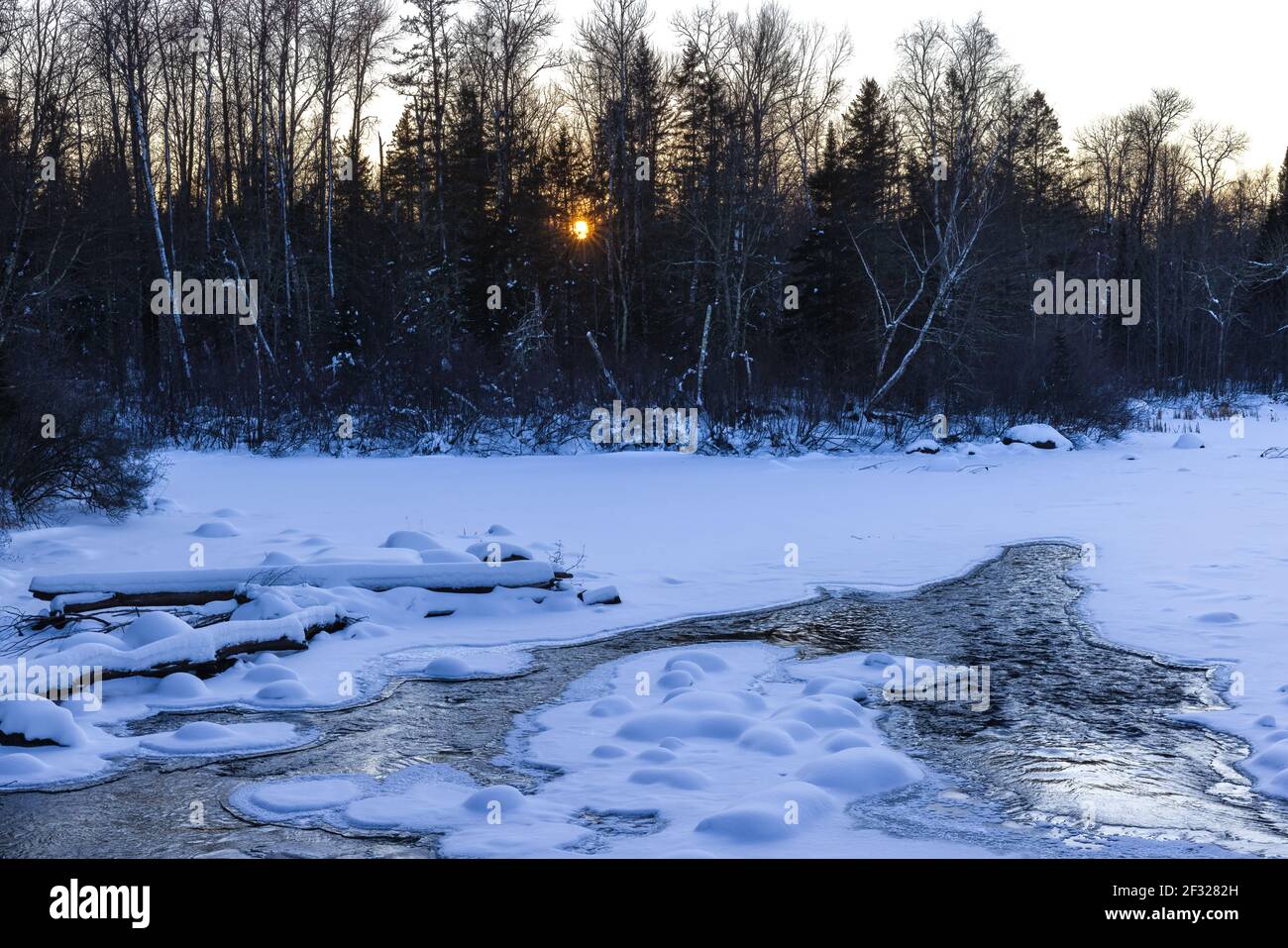 The Chippewa River in the Chequamegon National Forest Stock Photo - Alamy