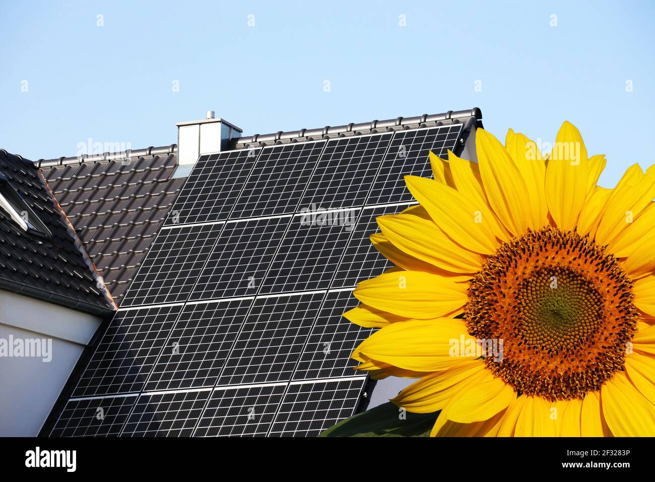 Symbol image: Solar roof (photovoltaics)with sunflower in the ...