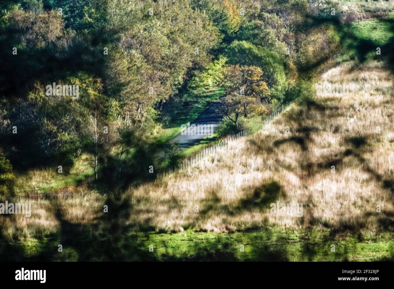 September foliage in england hi-res stock photography and images - Alamy