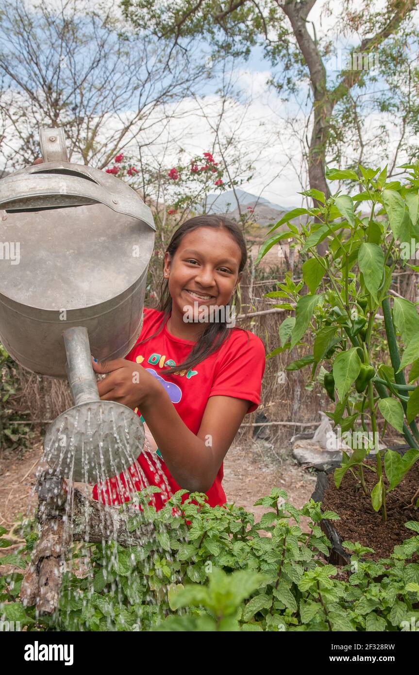 Rivas, Nicaragua. 07-15-2016. Girl watering the plants in an rural ...