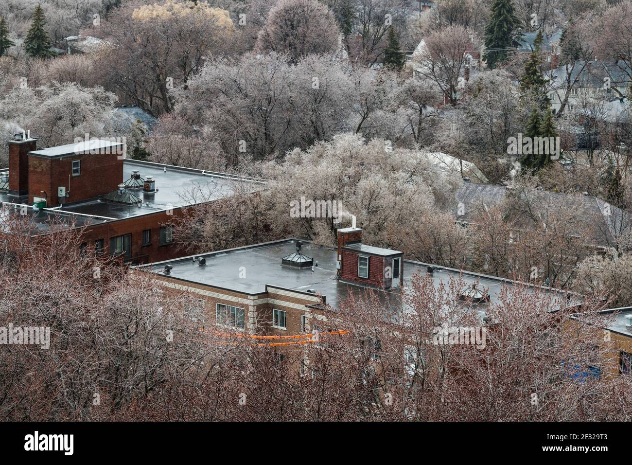 Montreal freezing rain hi-res stock photography and images - Alamy
