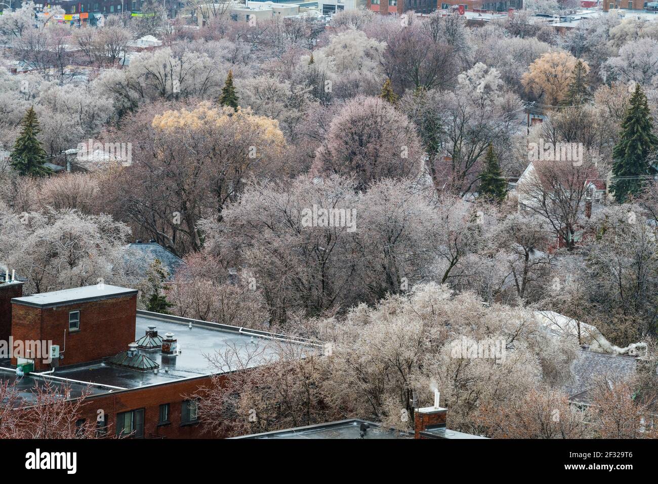 Montreal freezing rain hi-res stock photography and images - Alamy