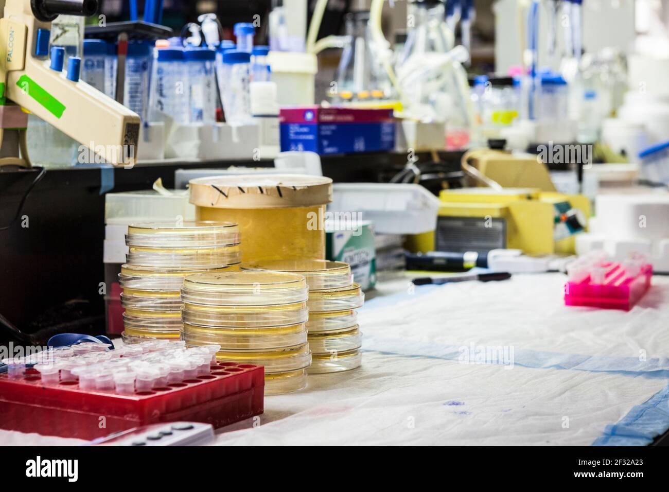 Research laboratory bench, Montreal Neurological Institute(Neuro ...
