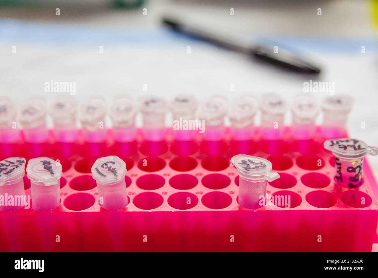 Research laboratory bench, Montreal Neurological Institute(Neuro ...