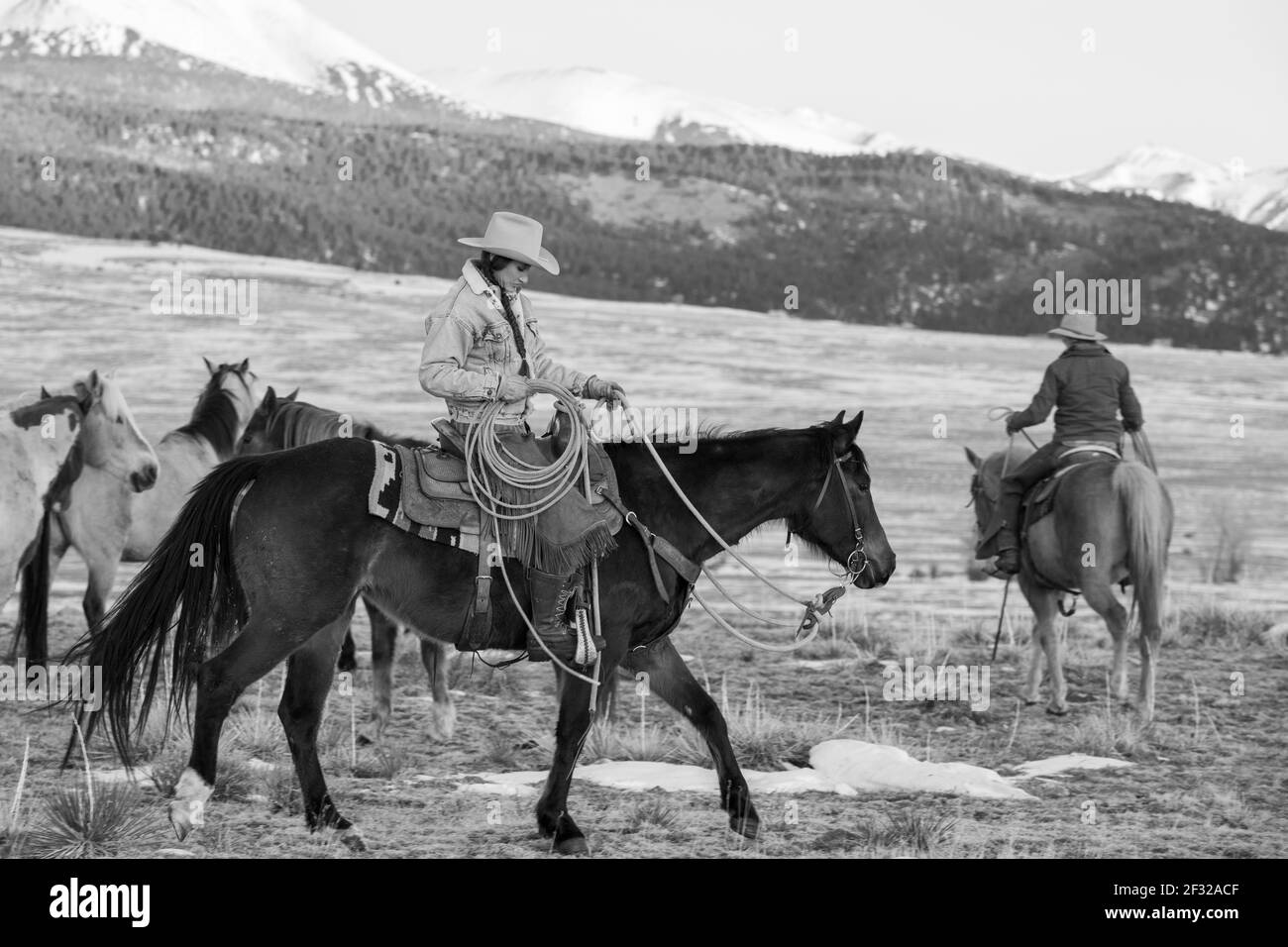 USA, Colorado, Custer County, Westcliffe, Music Meadows Ranch. Female ...