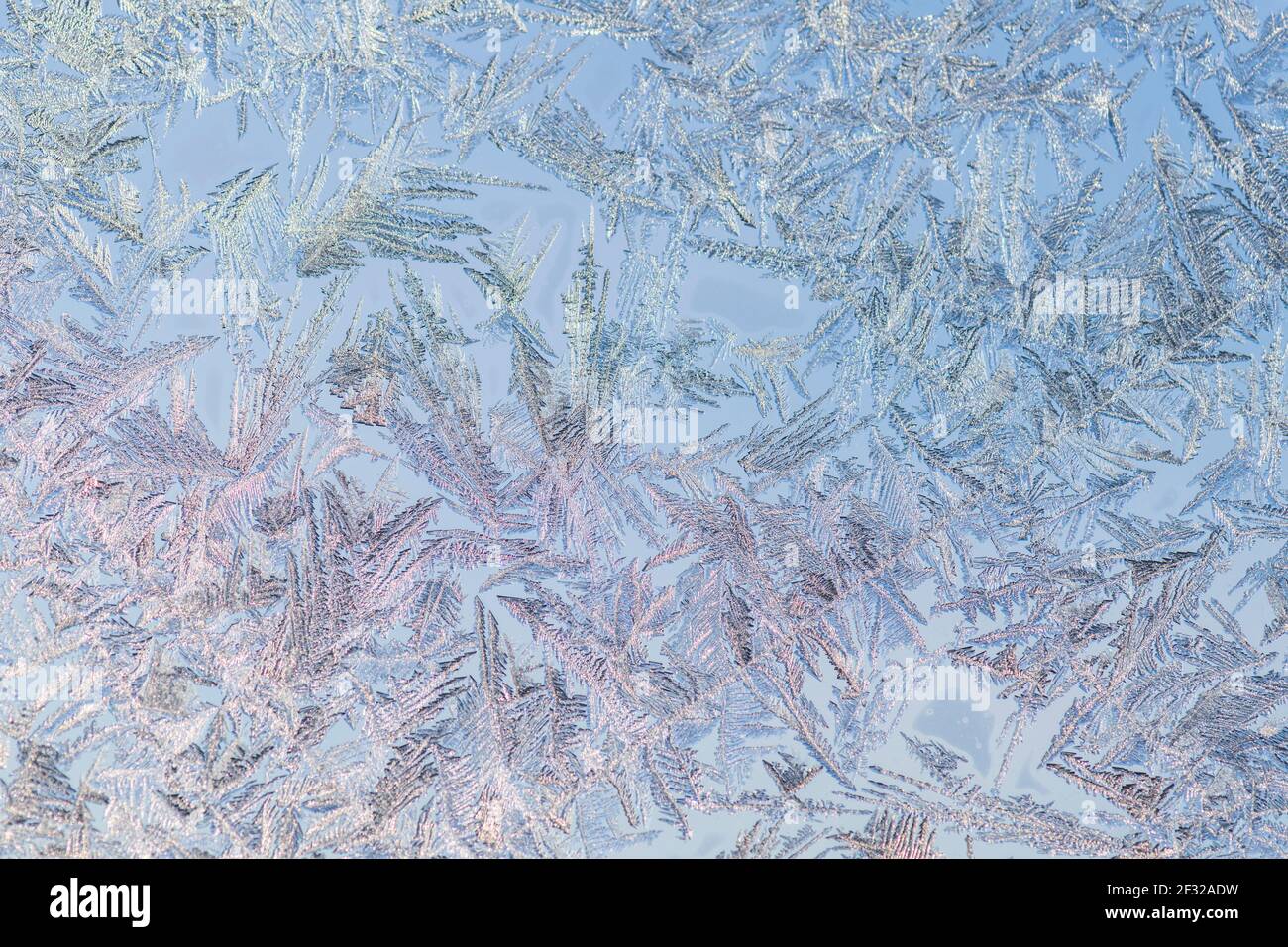 Window covered in frost, Winter, NDG, Montreal, Qc Stock Photo - Alamy