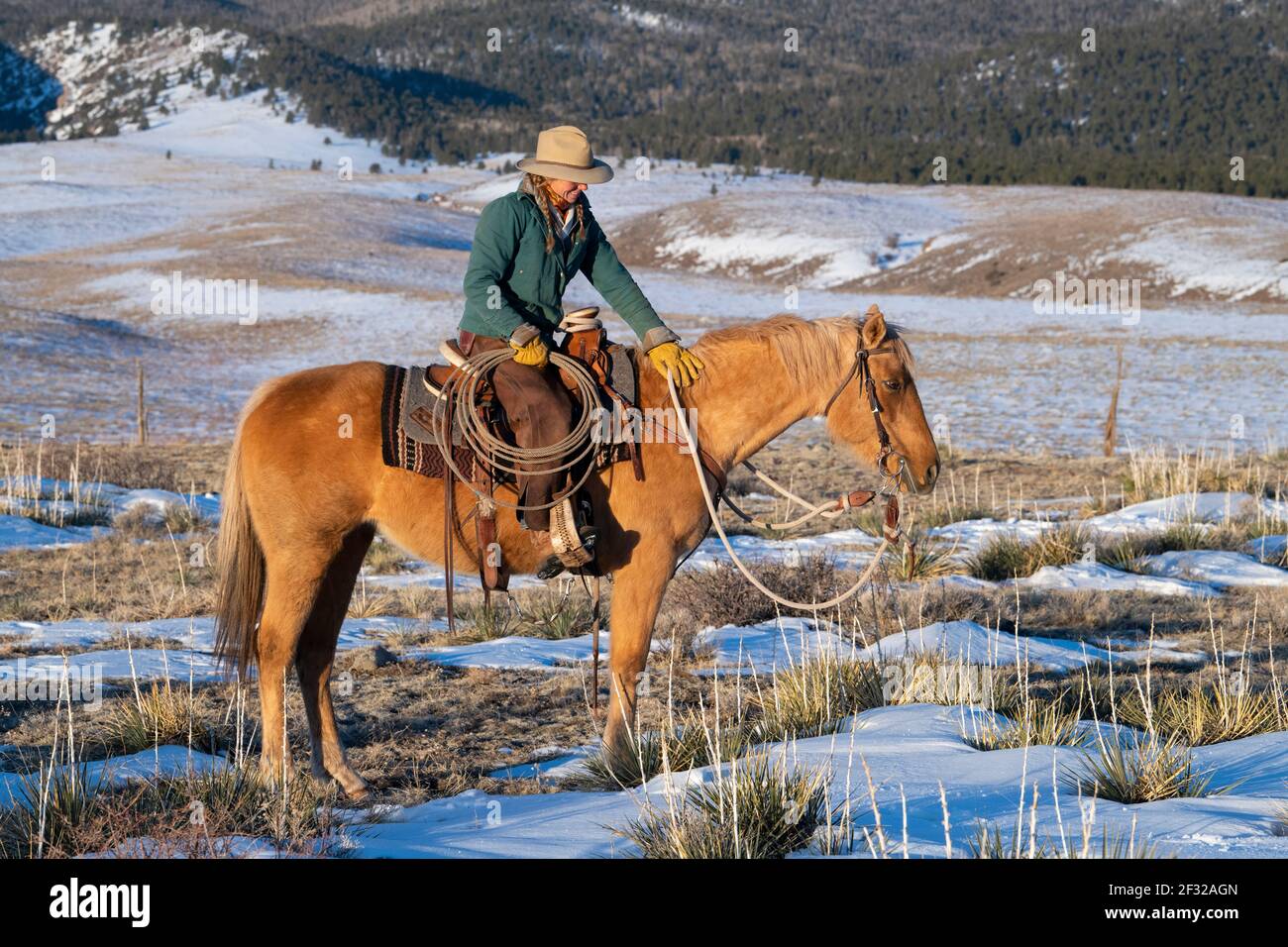 USA, Colorado, Custer County, Westcliffe, Music Meadows Ranch. Female ...