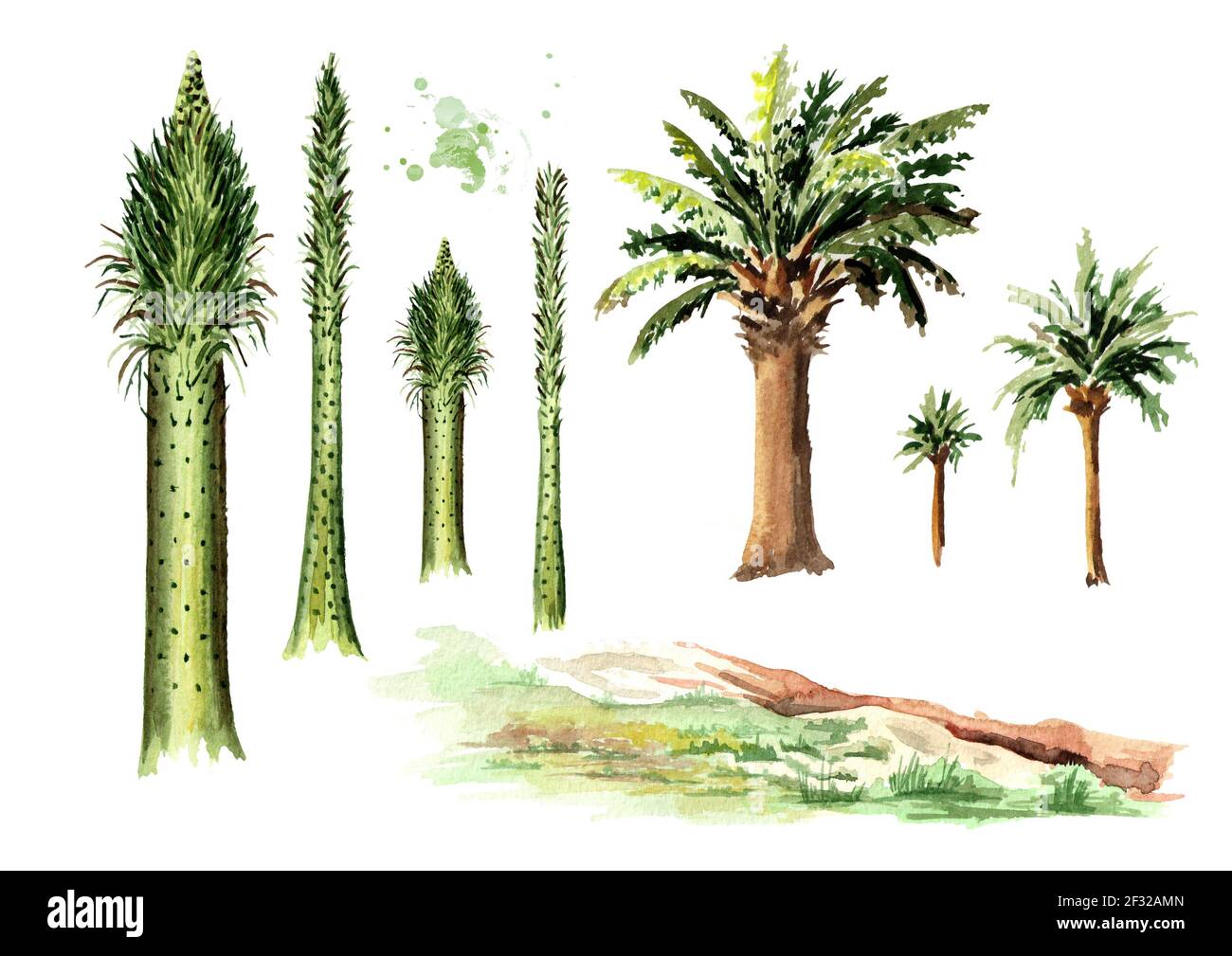 Prehistoric tree set. Watercolor hand drawn illustration, isolated on ...