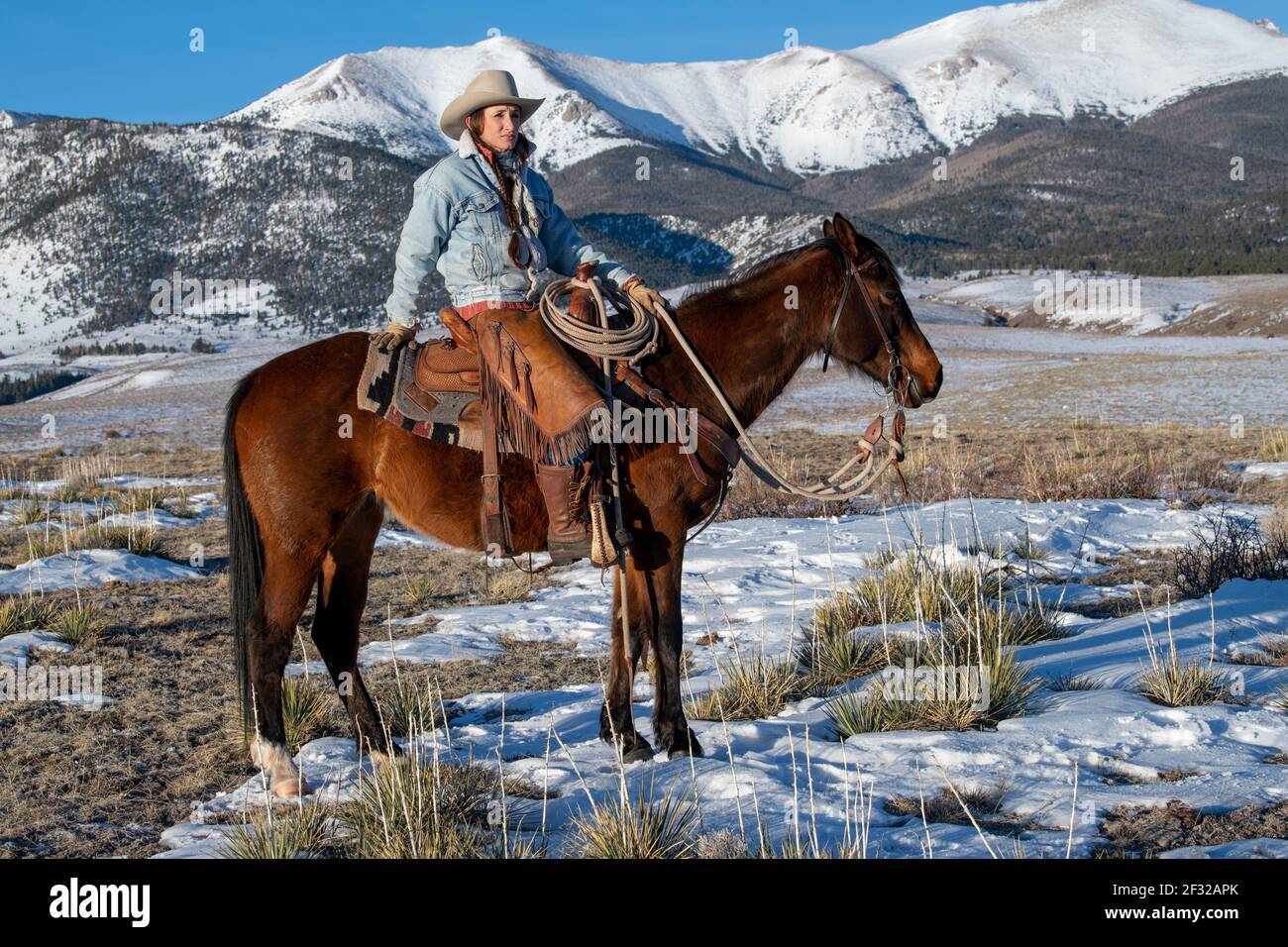 Colorado, Westcliffe, Music Meadows Ranch. Female ranch hand in typical ...