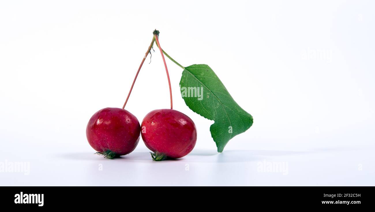 Still-life with fresh small red apples Stock Photo - Alamy