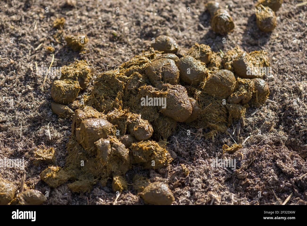 Droppings hi-res stock photography and images - Alamy