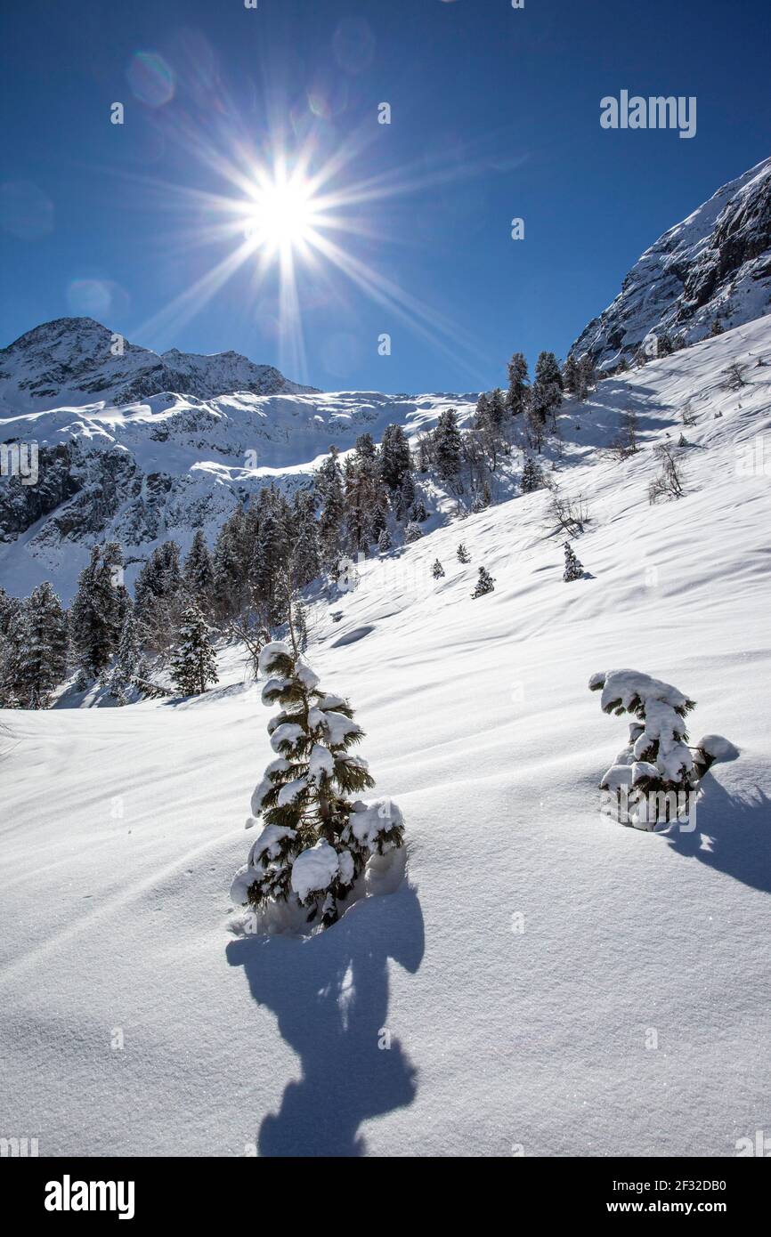 Winter landscape with sun star and powder snow, Tyrol, Austria Stock ...
