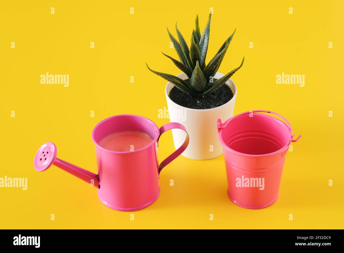 Watering Can And Bucket Near flowerpot with succulent Stock Photo - Alamy