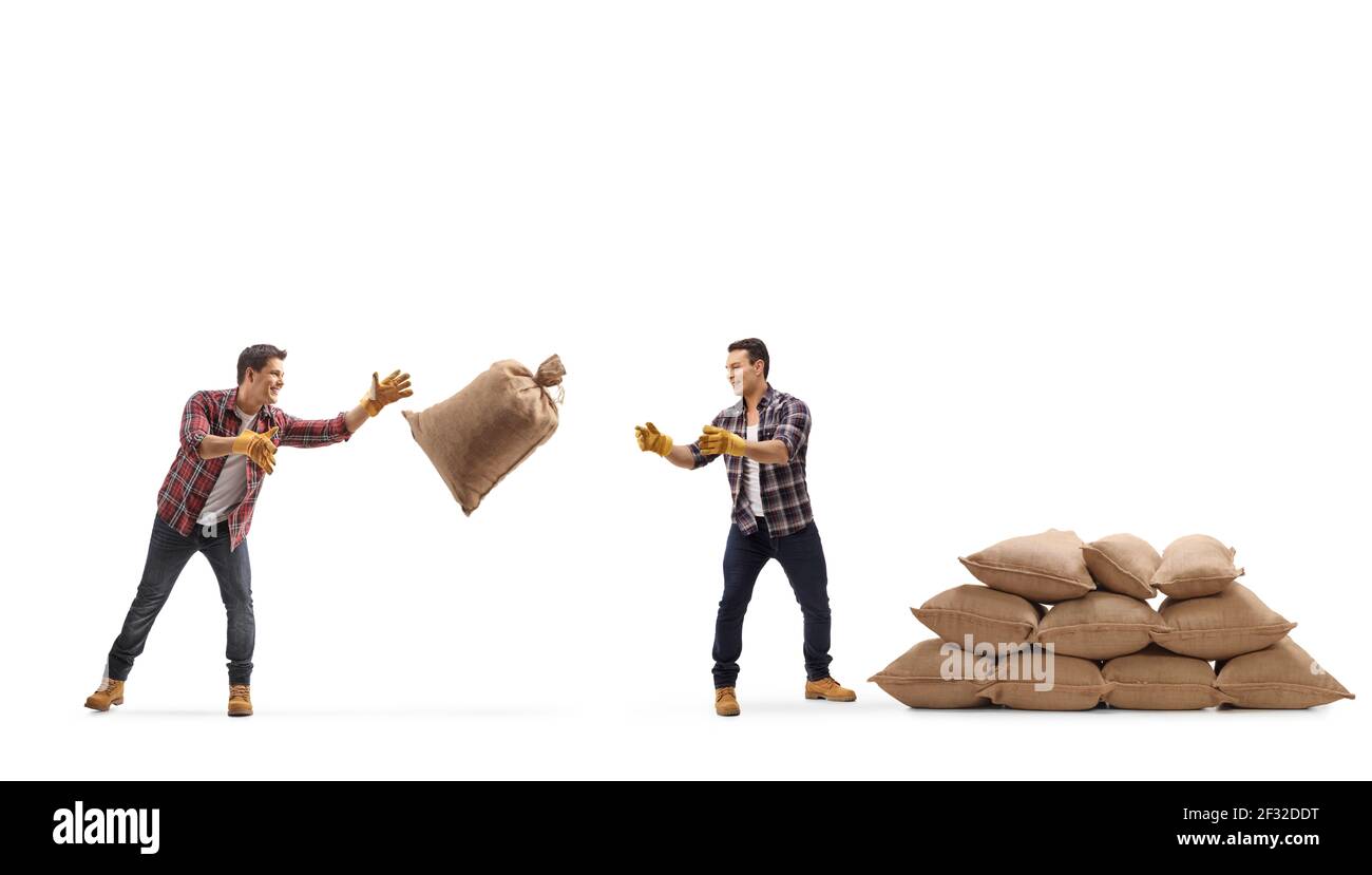 Farmers throwing a burlap sack and making a pile of sacks isolated on ...